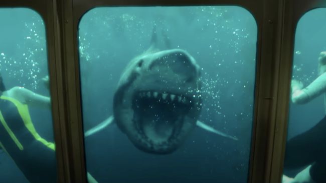 The Best Shark Movies And How To Watch Them | Cinemablend