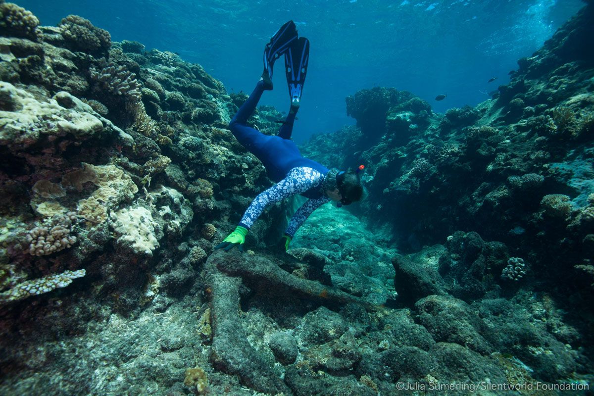 Photos: Notoriously Dangerous Ocean Reef Holds Shipwreck Secrets | Live ...