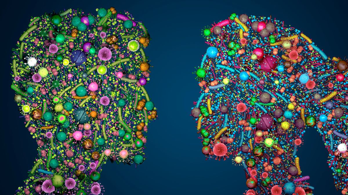 How the social microbiome affects our health | The Week
