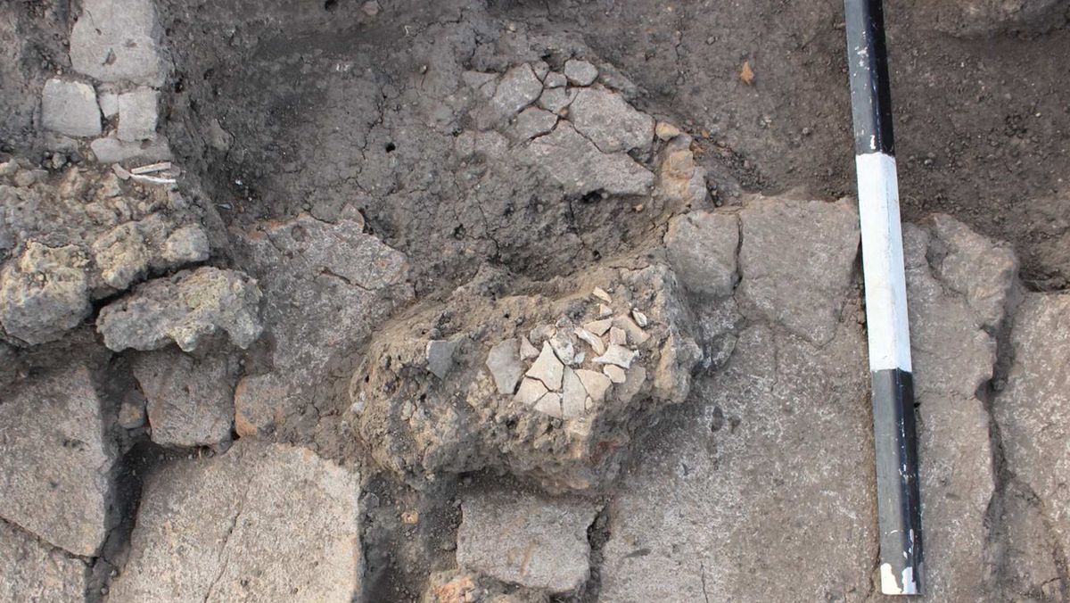 In Photos: Prehistoric Temple Uncovered in Ukraine | Live Science