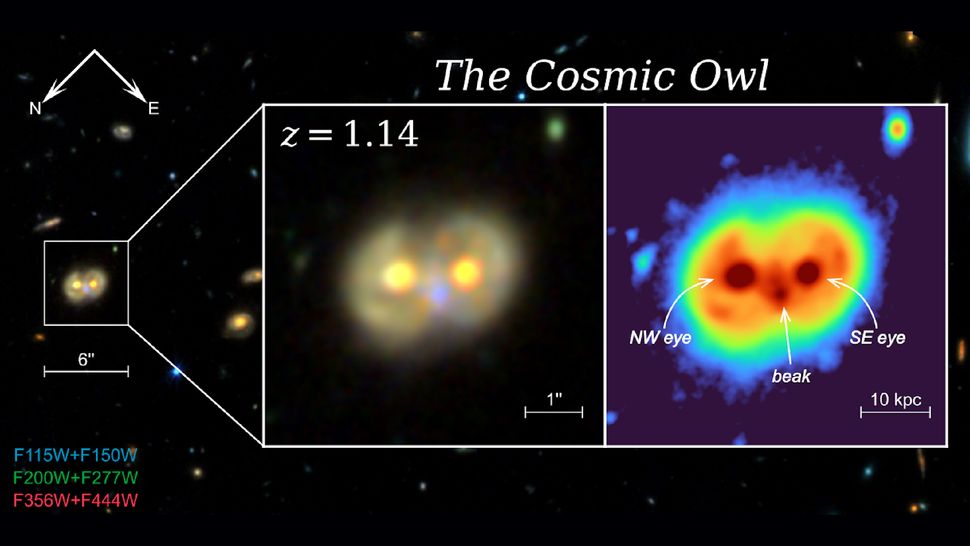 James Webb telescope spots 'Cosmic Owl,' super-rare structure formed ...