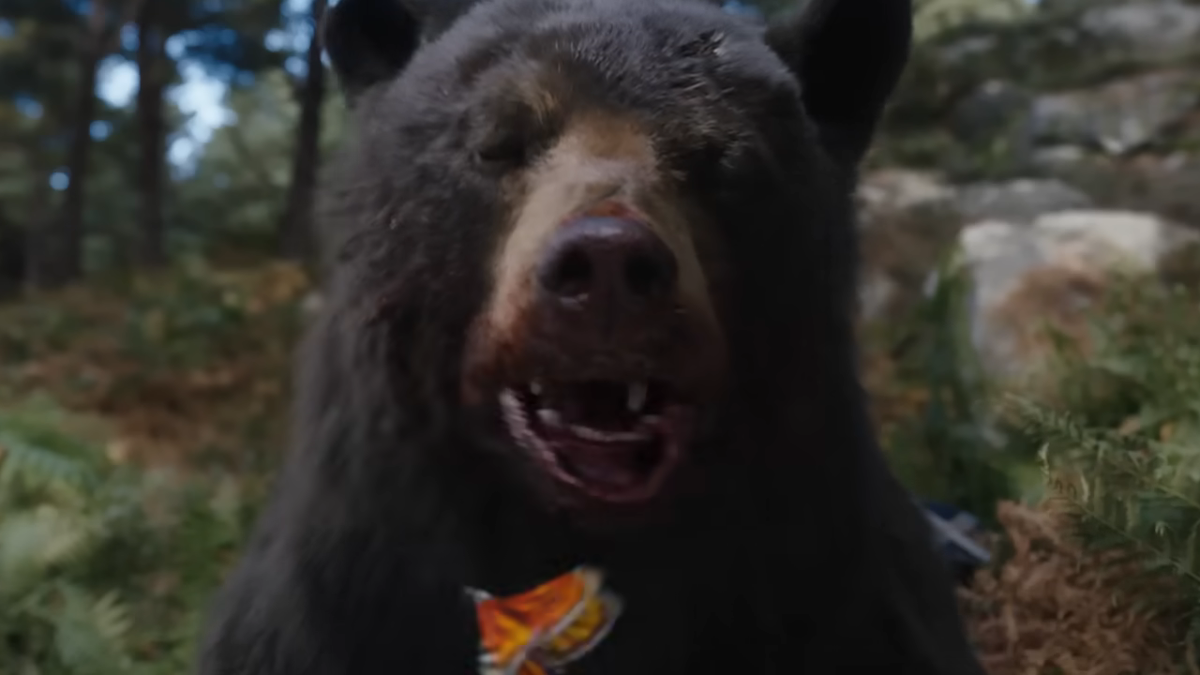 Cocaine Bear: Release Date, Cast And Other Things We Know About The ...