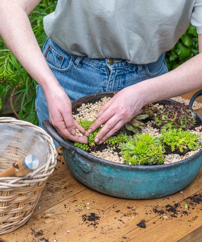 How to plant flowers in pots: step-by-step guide to patio containers ...