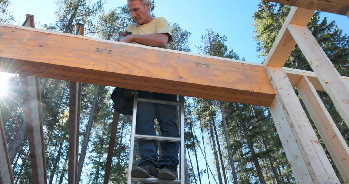 Biodiversity Net Gain laws: What do they mean for self builders ...