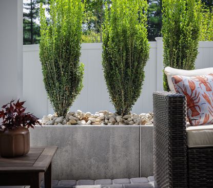 5 Ways to Beautify Your Backyard for a Superb Outdoor Living Space ...