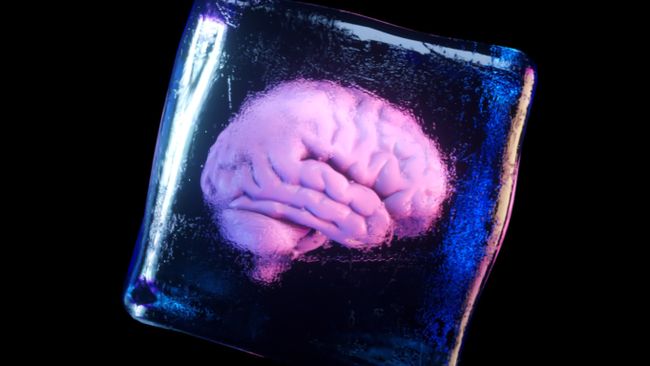 Why Cryonics Is A Non Starter In Our Quest For Immortality Live Science