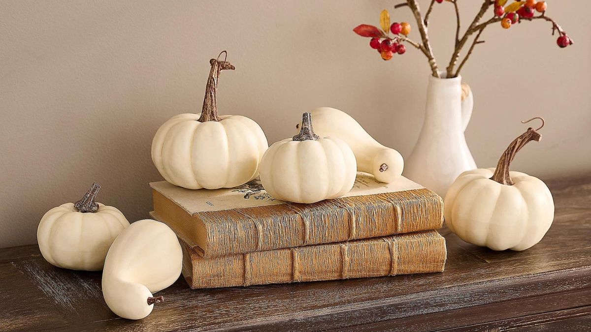 The best pieces from the QVC fall collection | Homes and Gardens