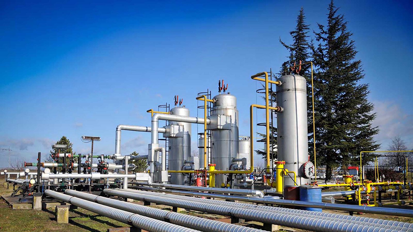 10 High-Quality Stocks With Dividend Yields of 4% or More | Kiplinger