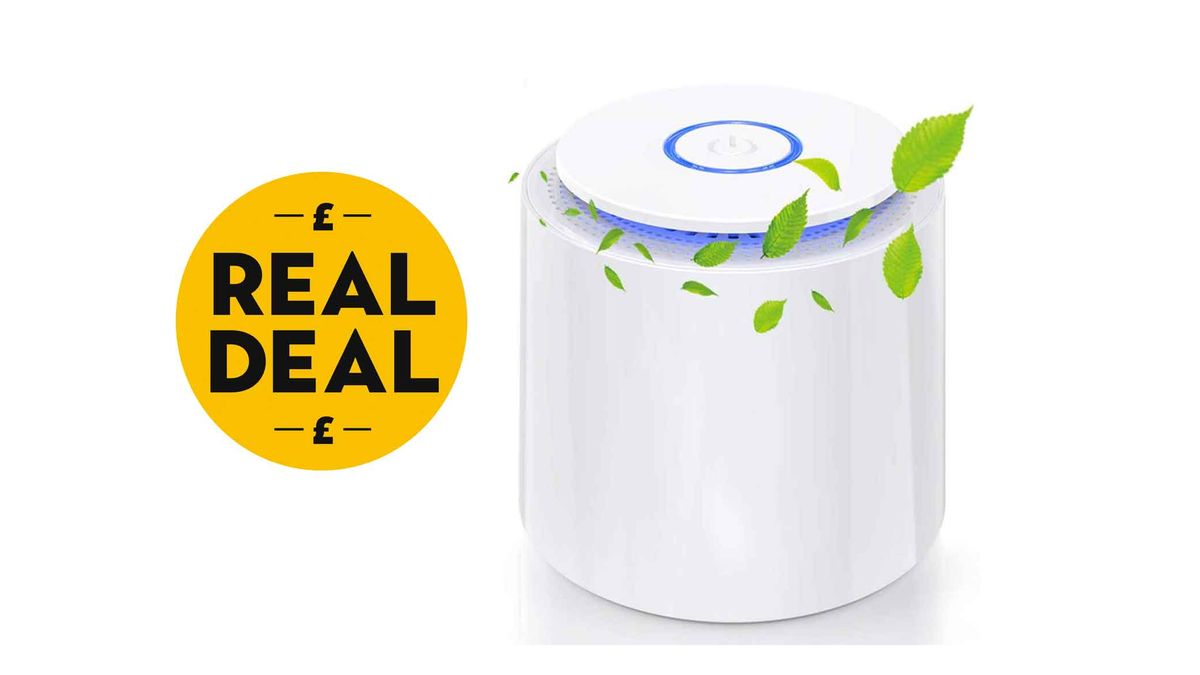 Self isolating? No problem. This air purifier brings the outside in for ...