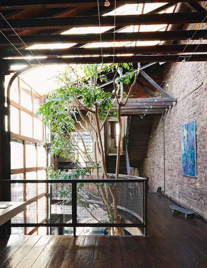 Decorating with plants – inspiring ways to use plants in interior ...