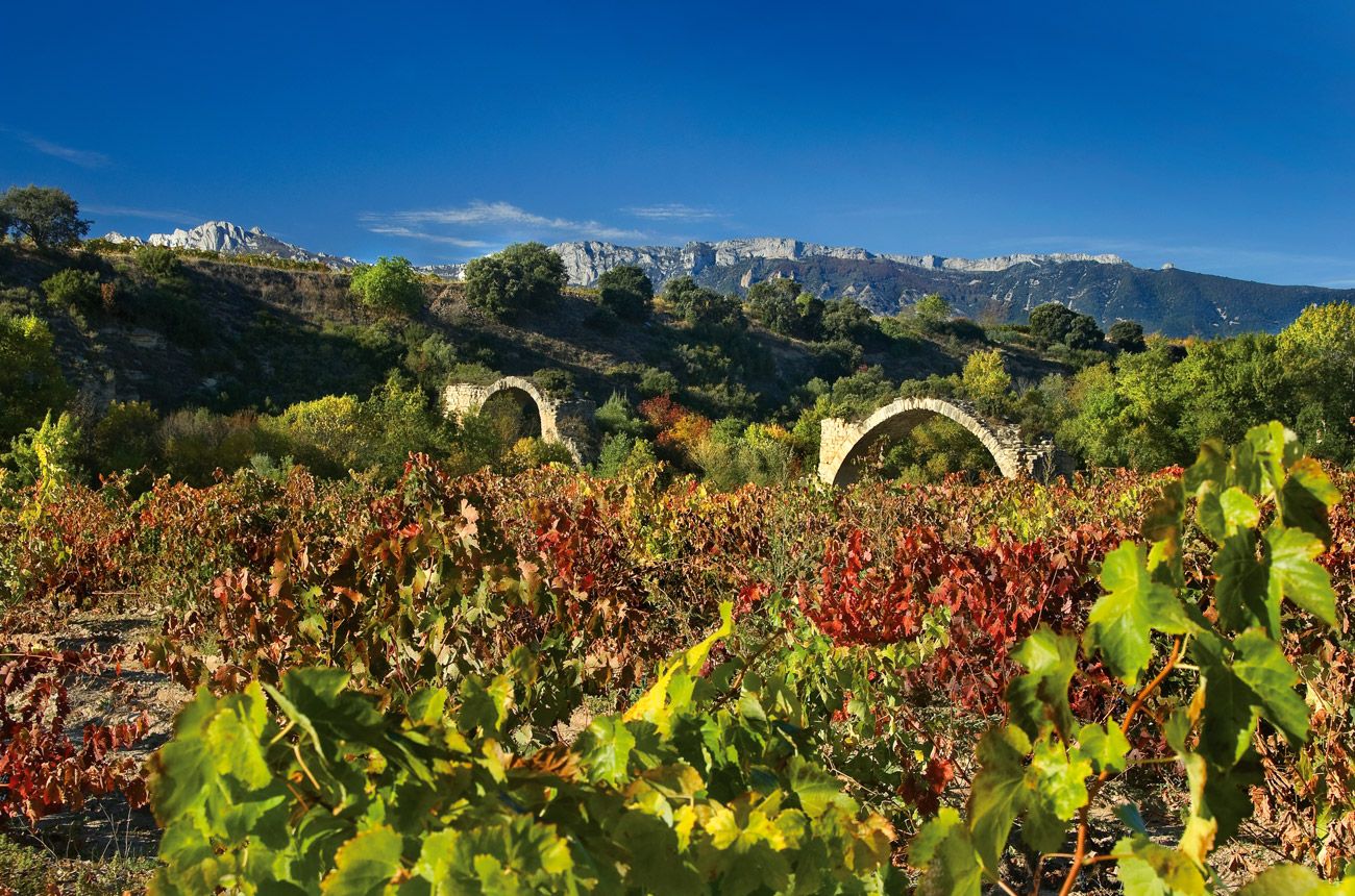 Viña Eguía: A bright new take on Rioja | Decanter