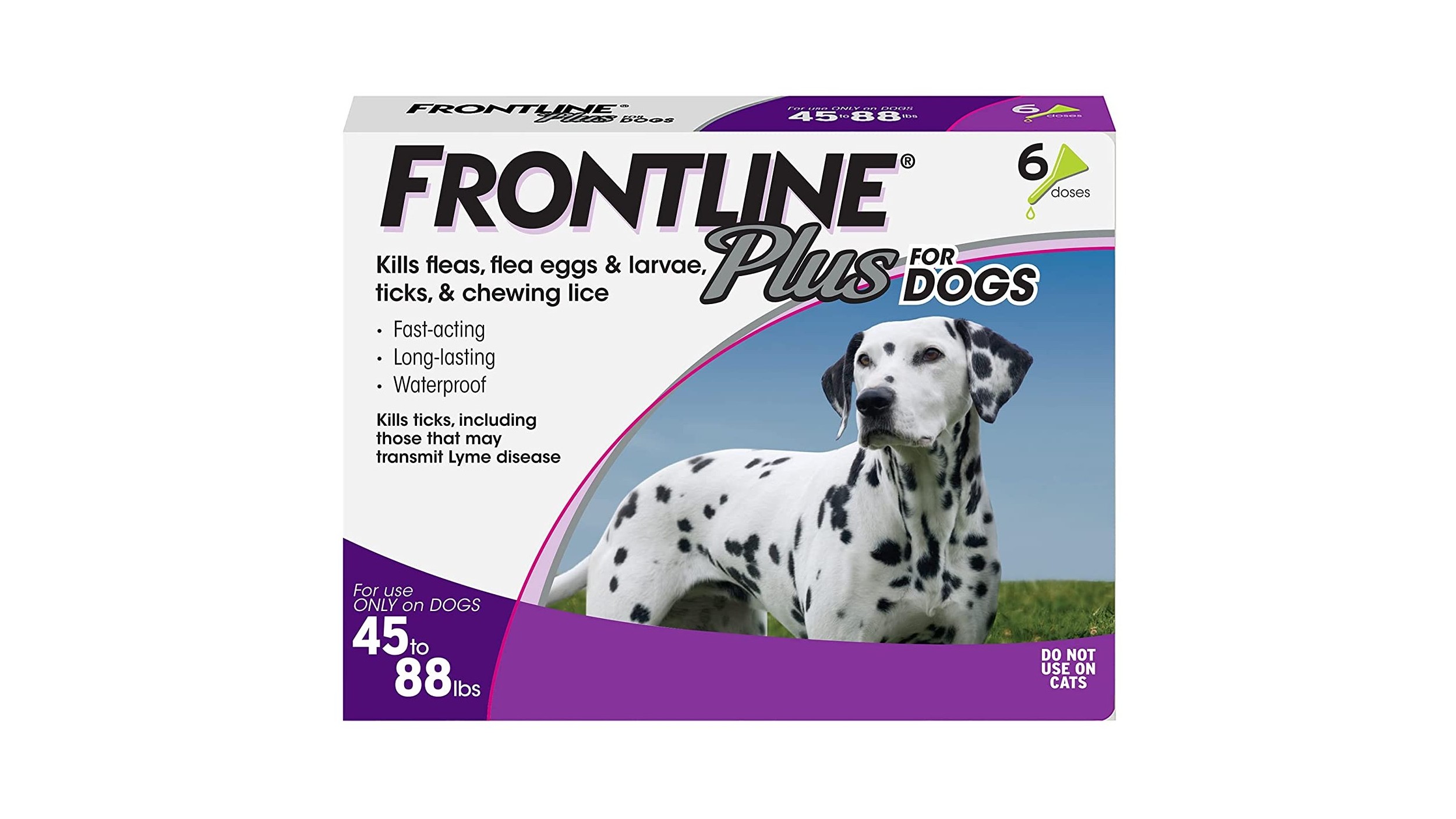 Best flea treatment for dogs 2024 | PetsRadar