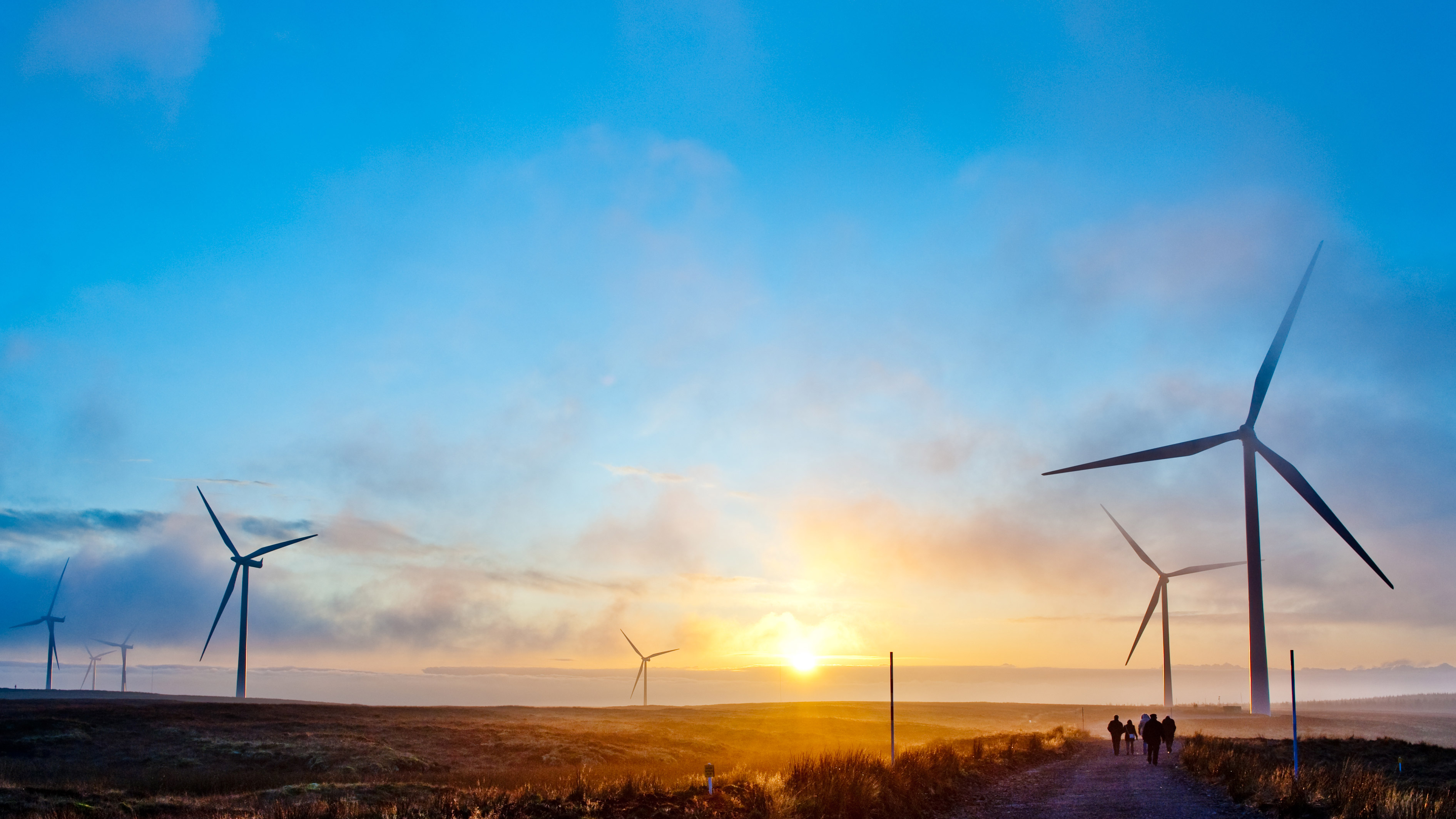 Shell Cuts Oil And Gas Production As The Market Shifts Towards