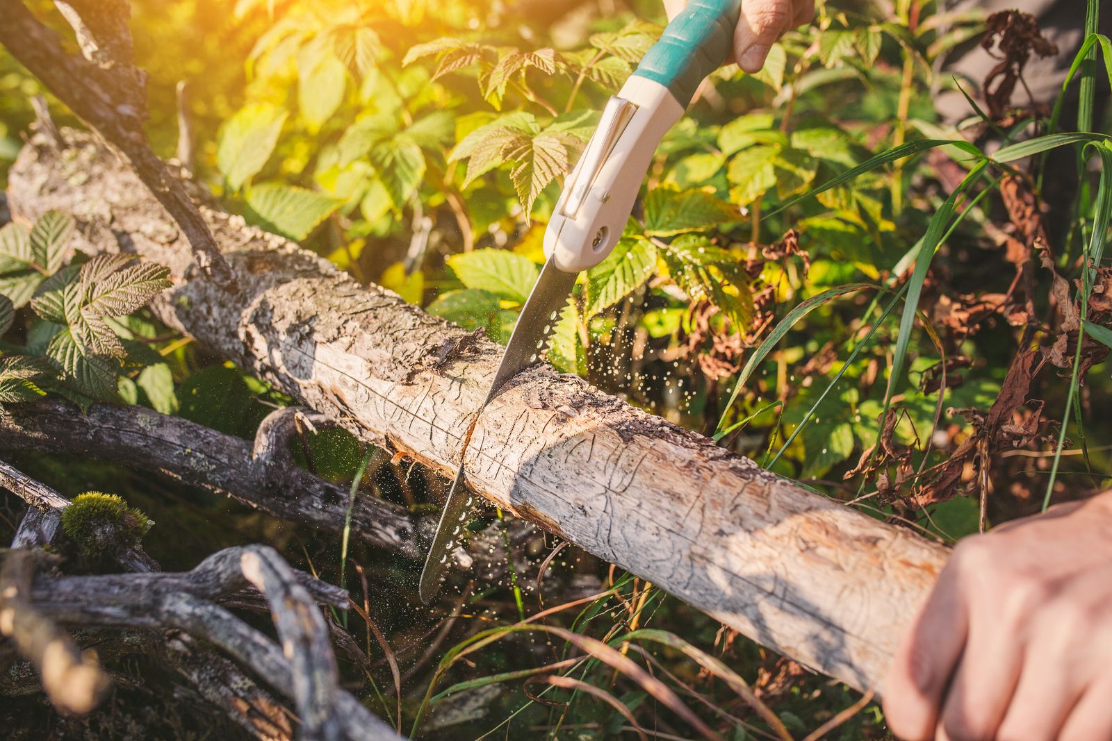8 Japanese Gardening Tools That Will Elevate Your Backyard | Livingetc