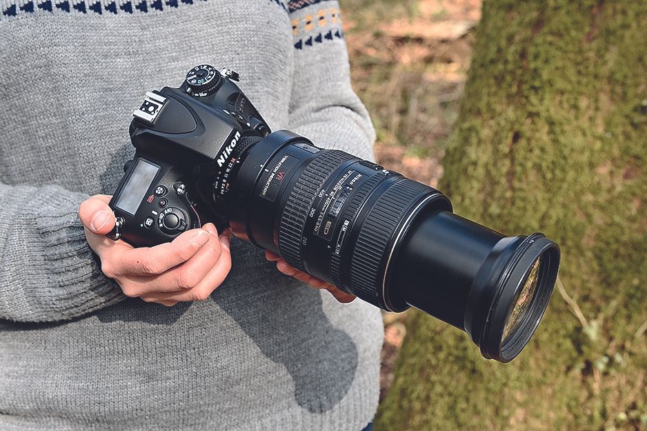 Tips for shooting backyard birds | Digital Camera World