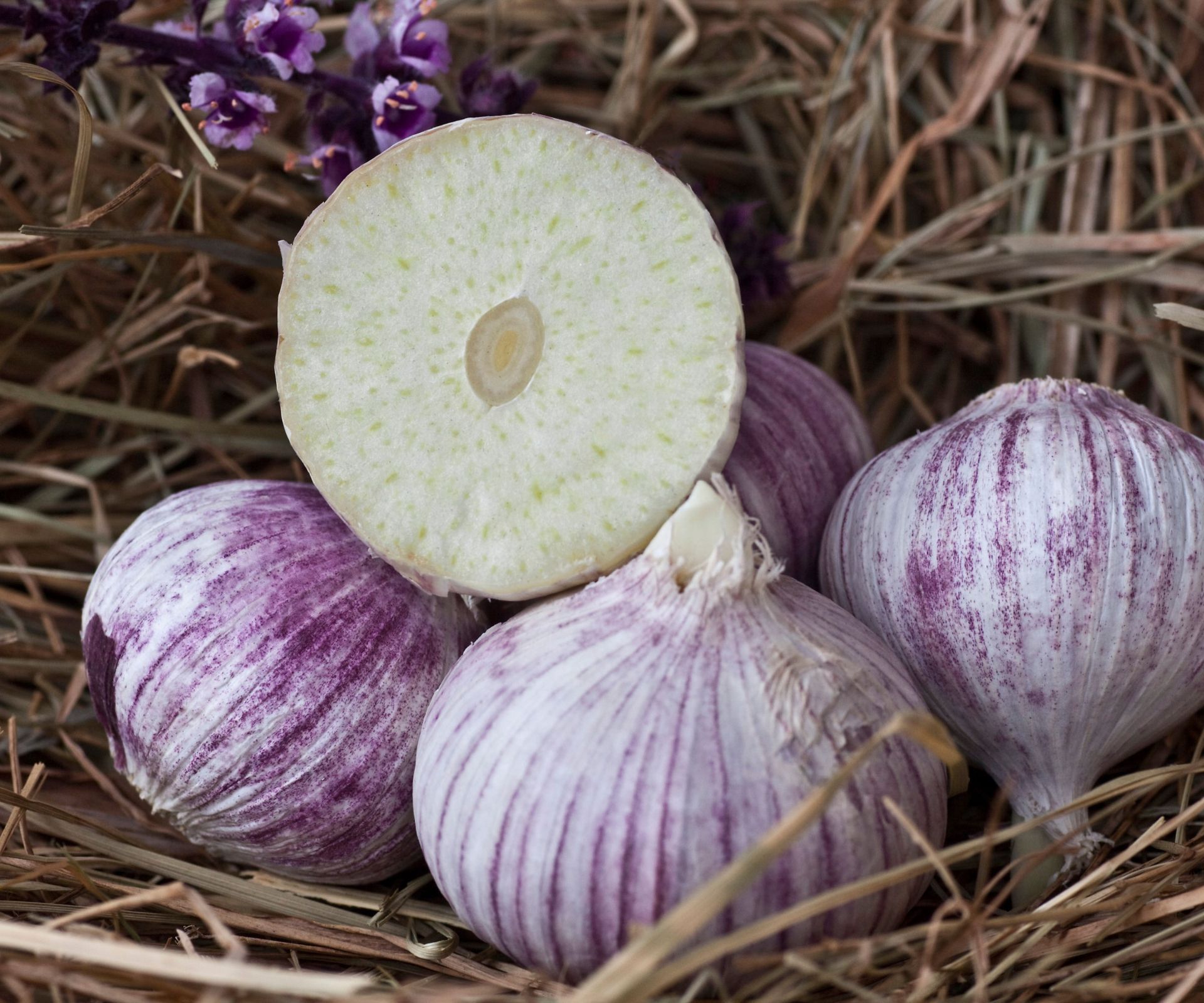 How to grow elephant garlic – expert tips for monster bulbs | Homes and ...