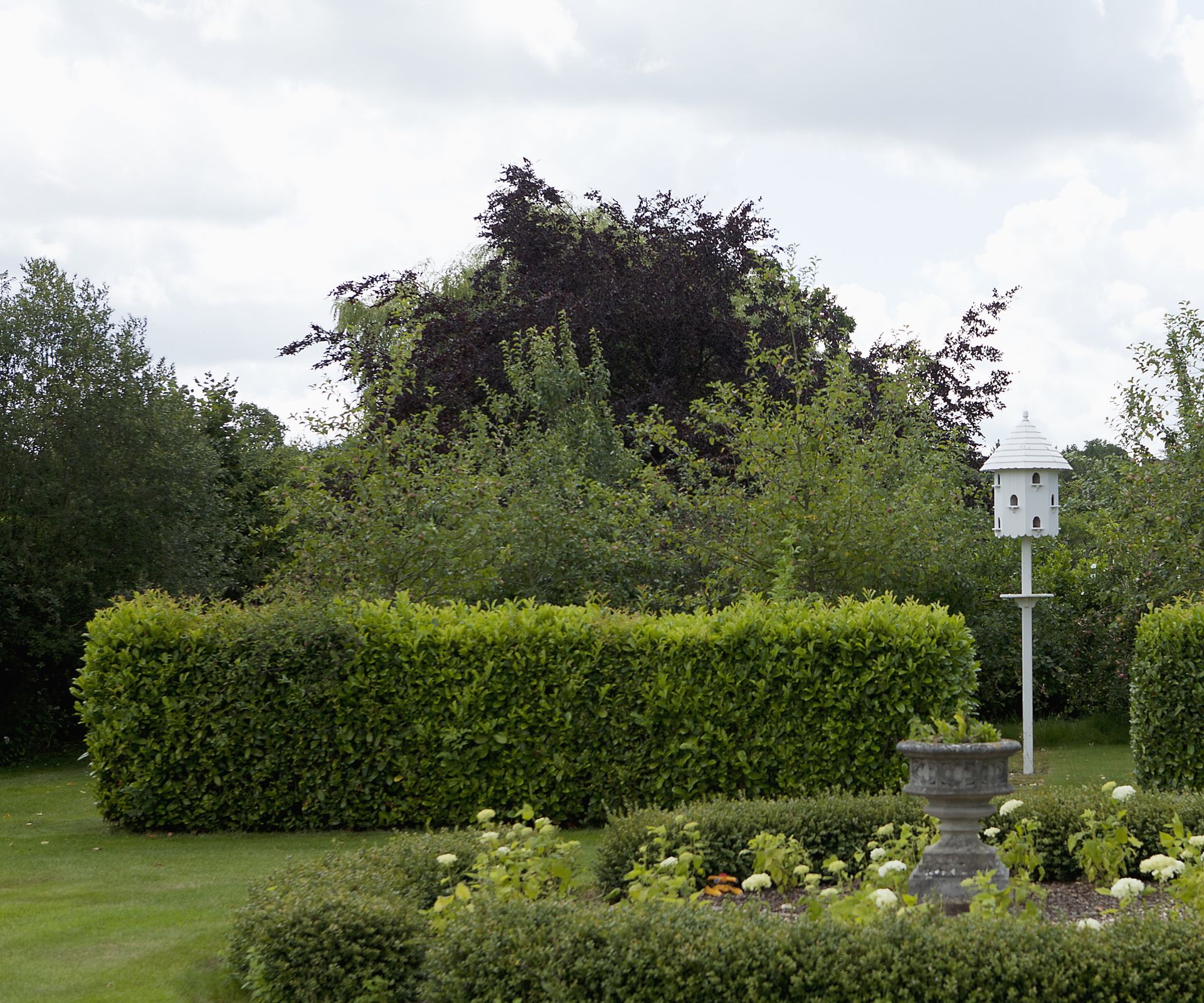 How and when to fertilize hedges: experts reveal top tips | Homes and ...