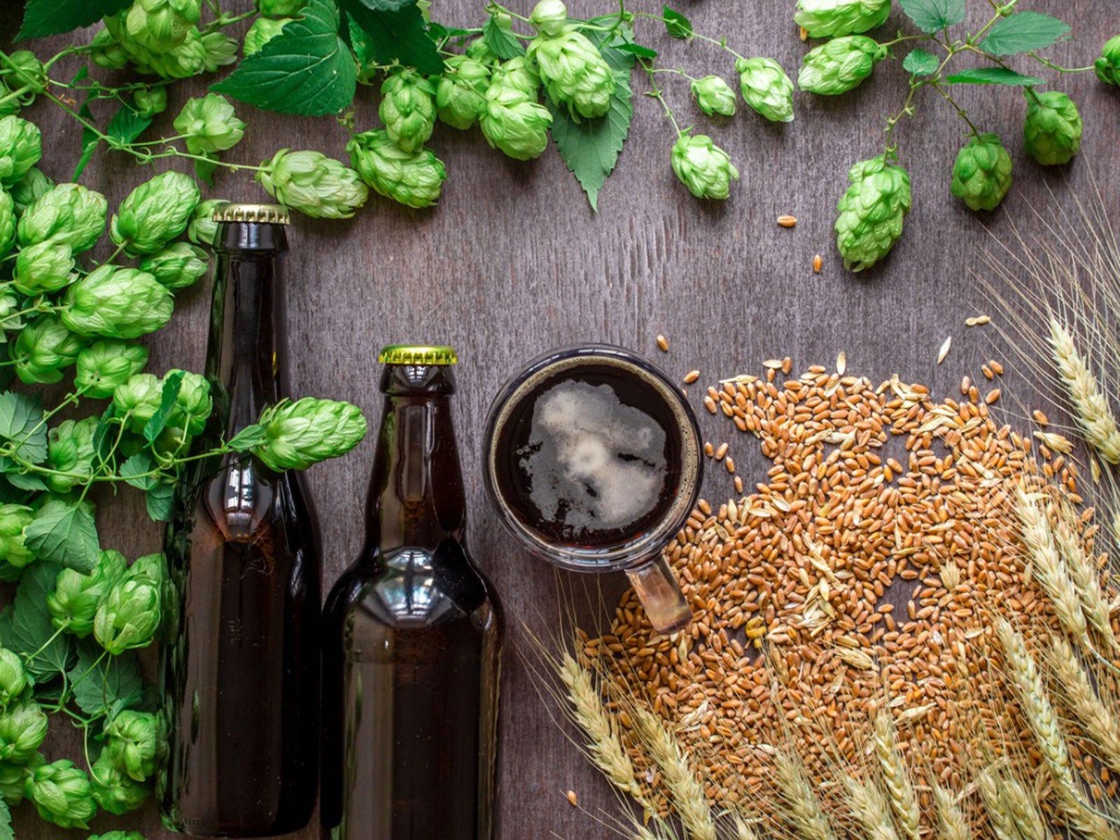 Container Beer Garden – Can You Grow Beer Ingredients In Planters ...