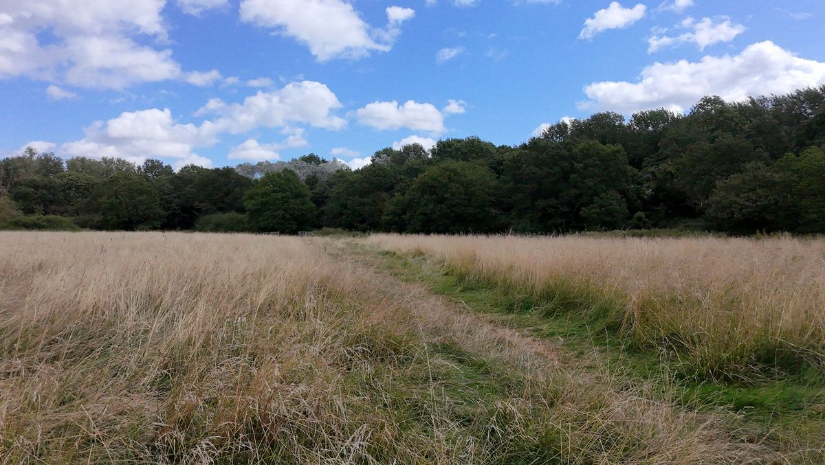 DJI Neo review – a drone that can do everything, and land in your hand ...