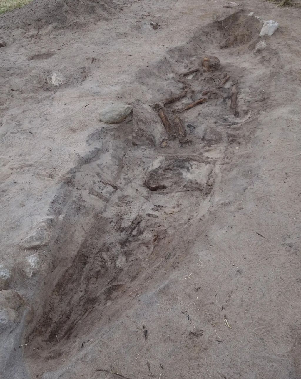 Viking Age woman was buried with her dog in an elaborate 'boat grave ...