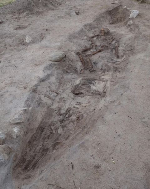 Viking Age woman was buried with her dog in an elaborate 'boat grave ...