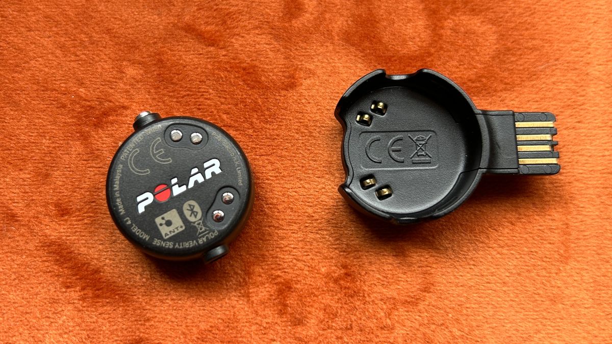 Polar Verity Sense Review | Coach