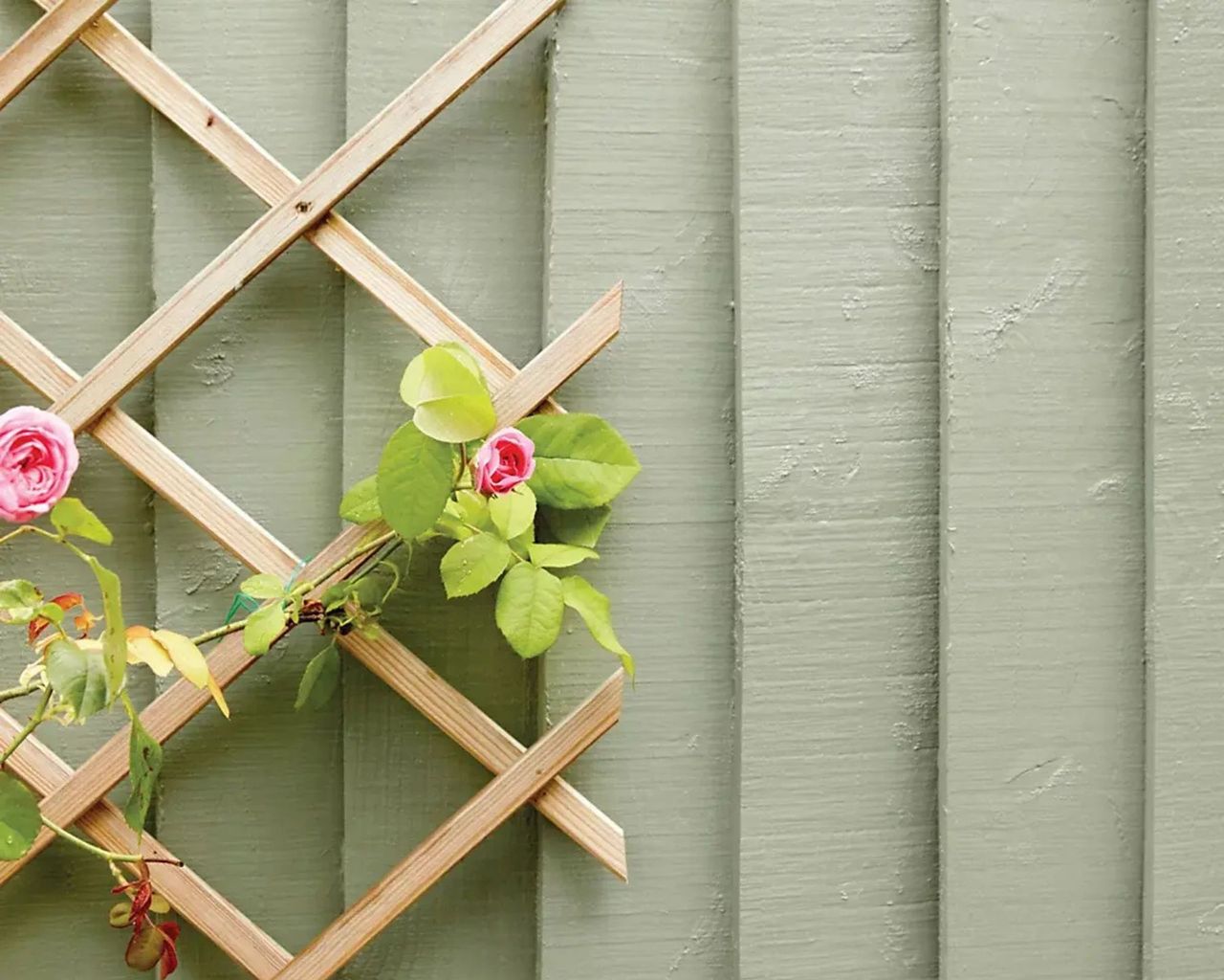 What fence color will add the most value? Experts advise | Homes and ...
