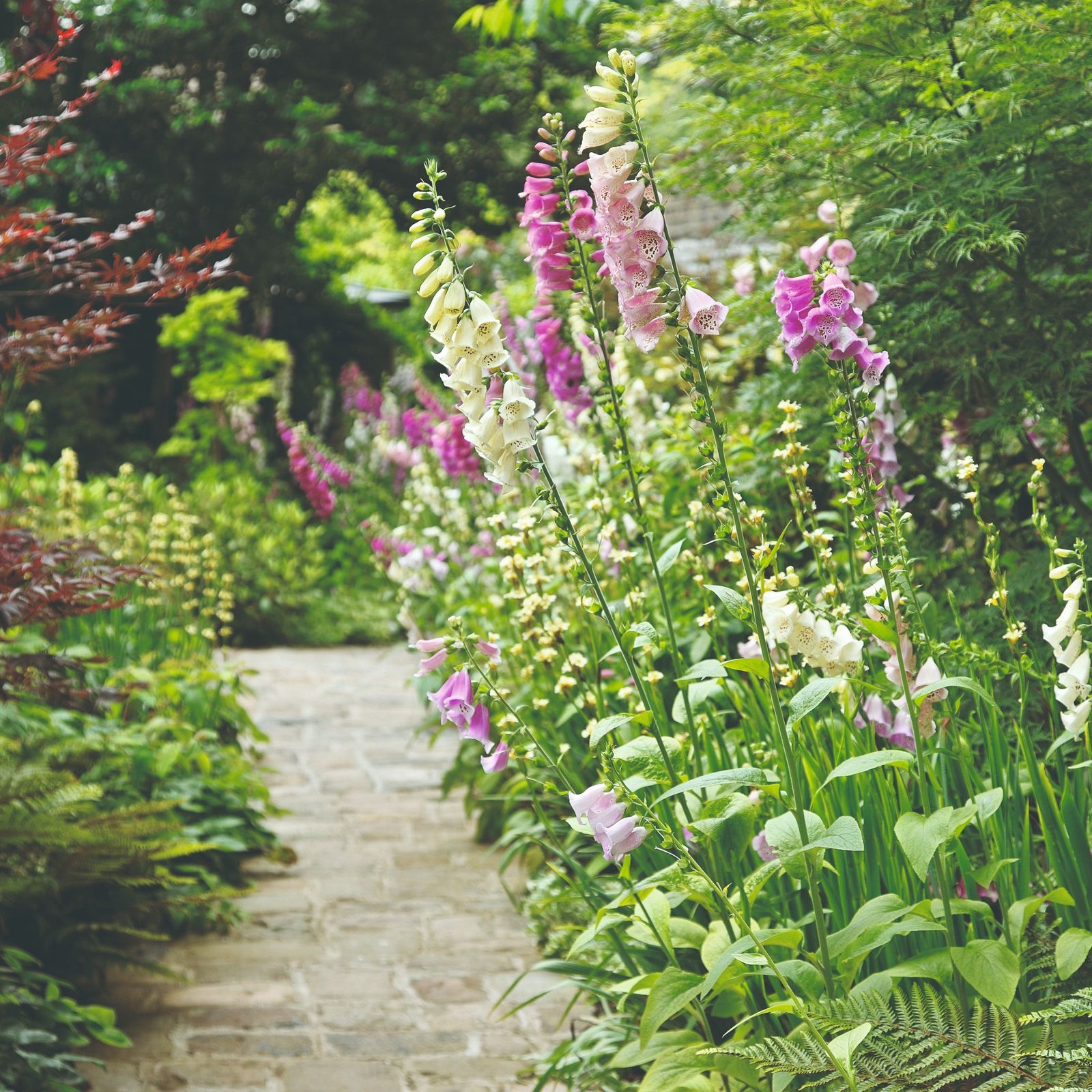 12 tricks for how to get rid of slugs naturally | Ideal Home