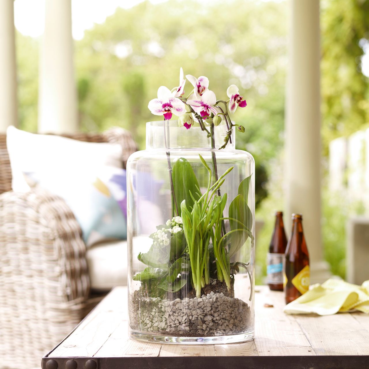 How to water orchids to help them thrive year after year | Ideal Home