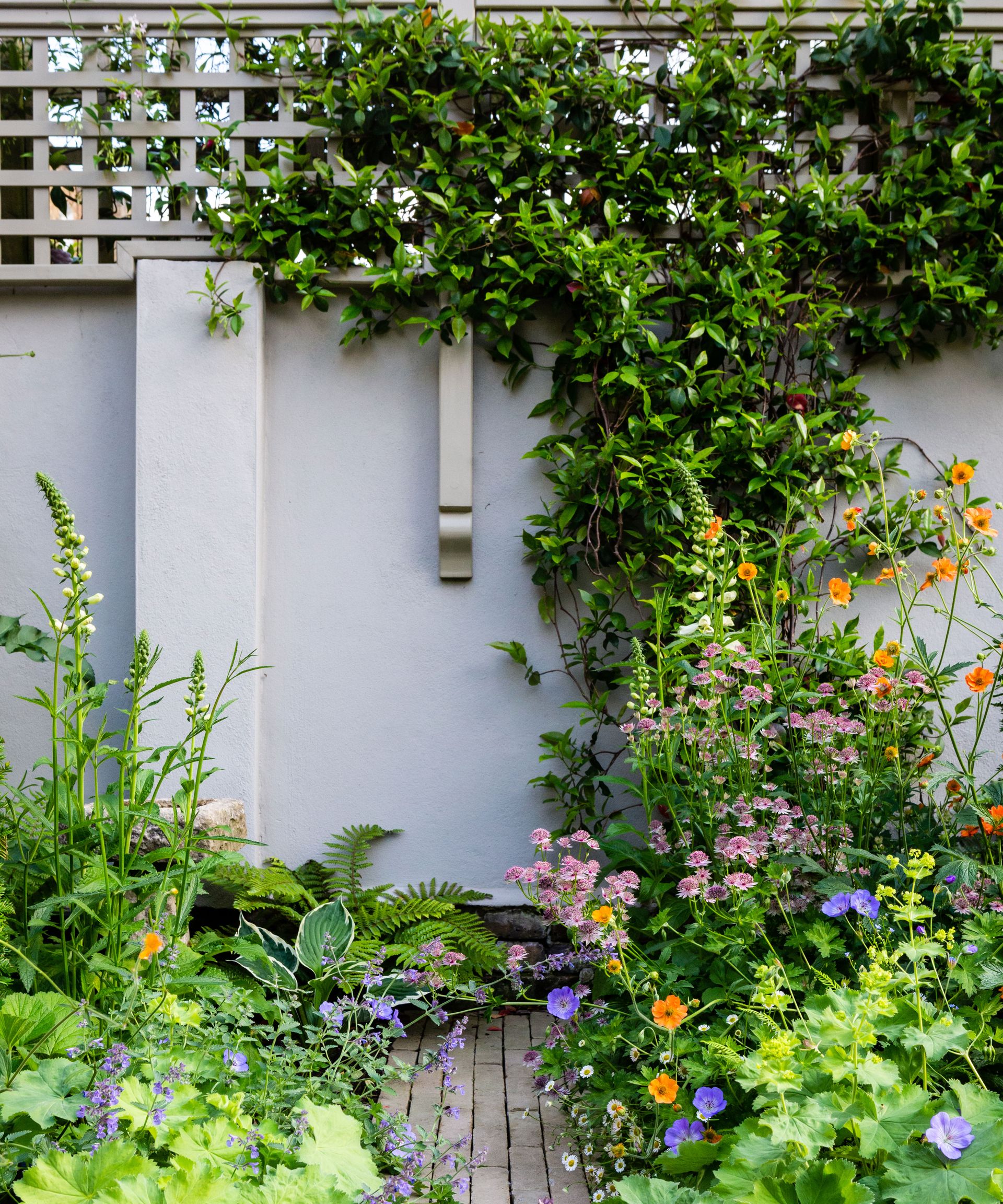 5 design ideas to inspire from this narrow and small garden | Homes and ...