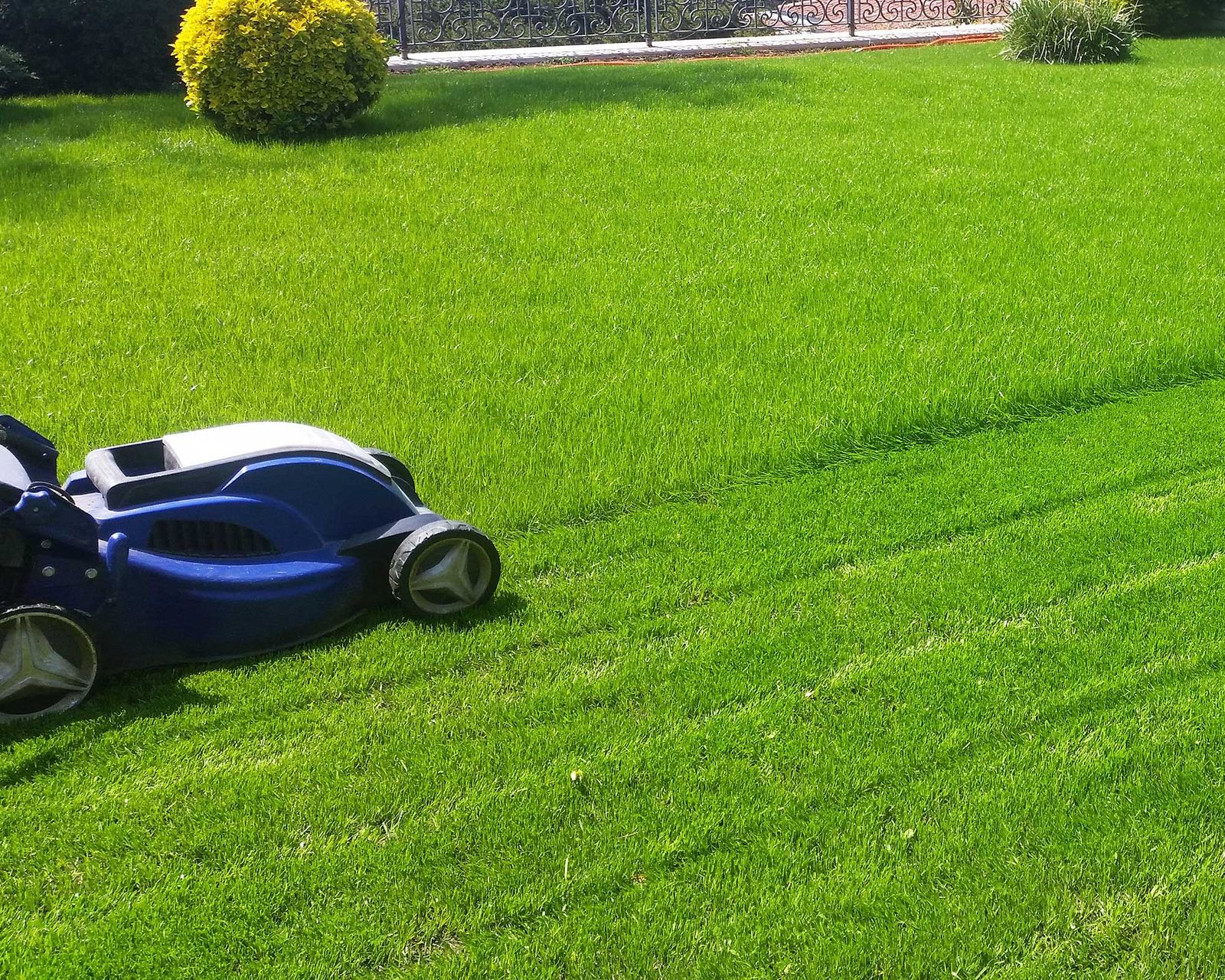 How to mow stripes on a lawn: tips for impressive results | Gardeningetc