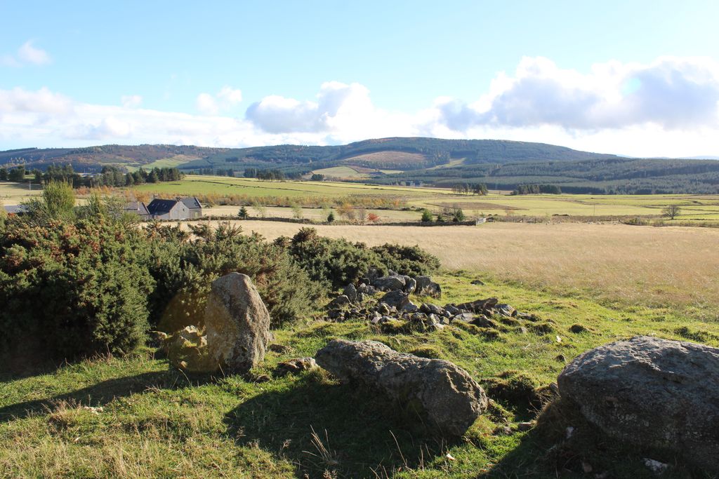 In Photos: Stone Monument Discovered in Scotland | Live Science