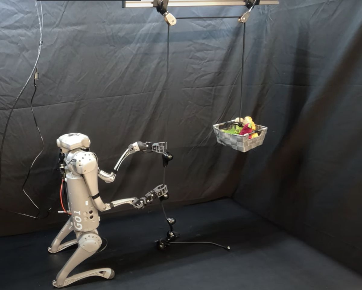 Meet LocoMan, the quirky robot dog that can stand up on its hind legs ...