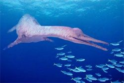 Rumor or Reality: The Creatures of Cryptozoology | Live Science