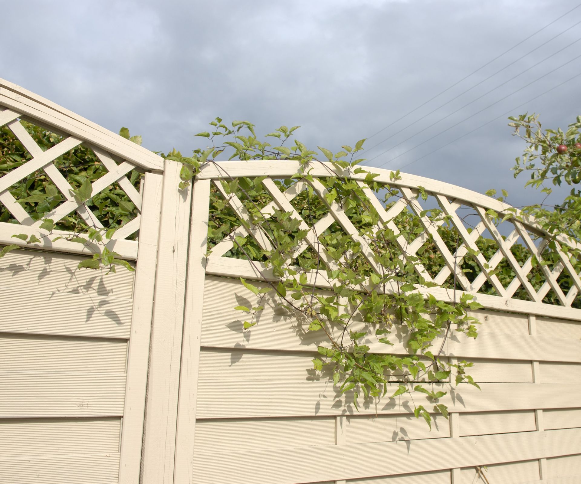 Who actually owns my fence? Advice from a legal expert | Homes and Gardens
