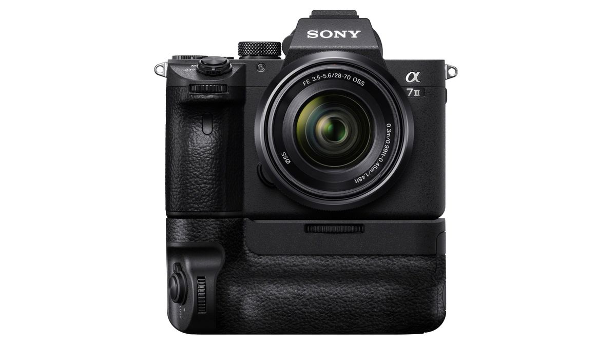 Sony A7R III vs A7 III: resolution versus value, megapixels versus ...