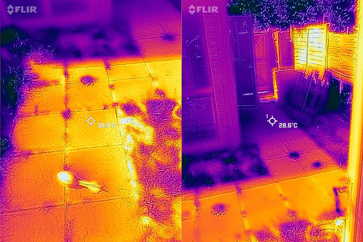 I used this thermal camera to see if it’s too hot for my dog — here’s ...