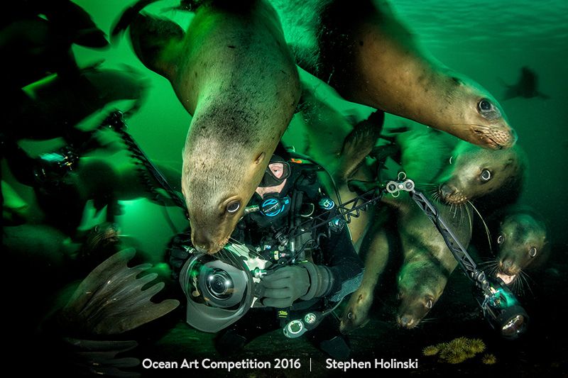 Striking Shots: Winning Photos Reveal Amazing Life Underwater | Live ...