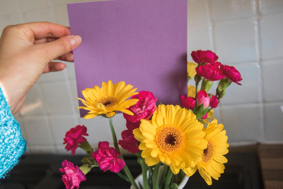 Home photography idea: Put color theory into practice | Digital Camera ...