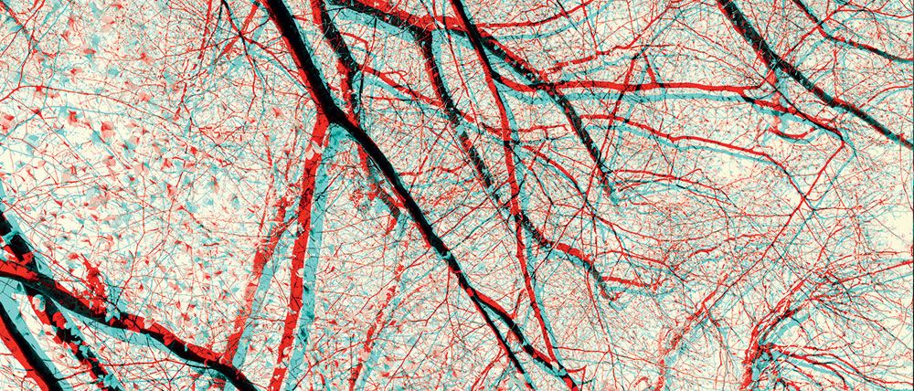 The art of seeing #30: Get stuck into stereoscopic imaging | Digital ...