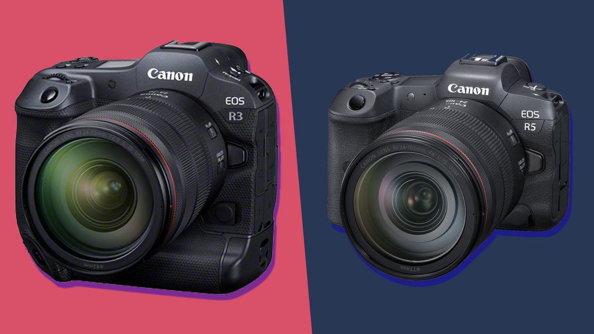 Canon EOS R3 vs Canon EOS R5: 9 key differences between the mirrorless ...