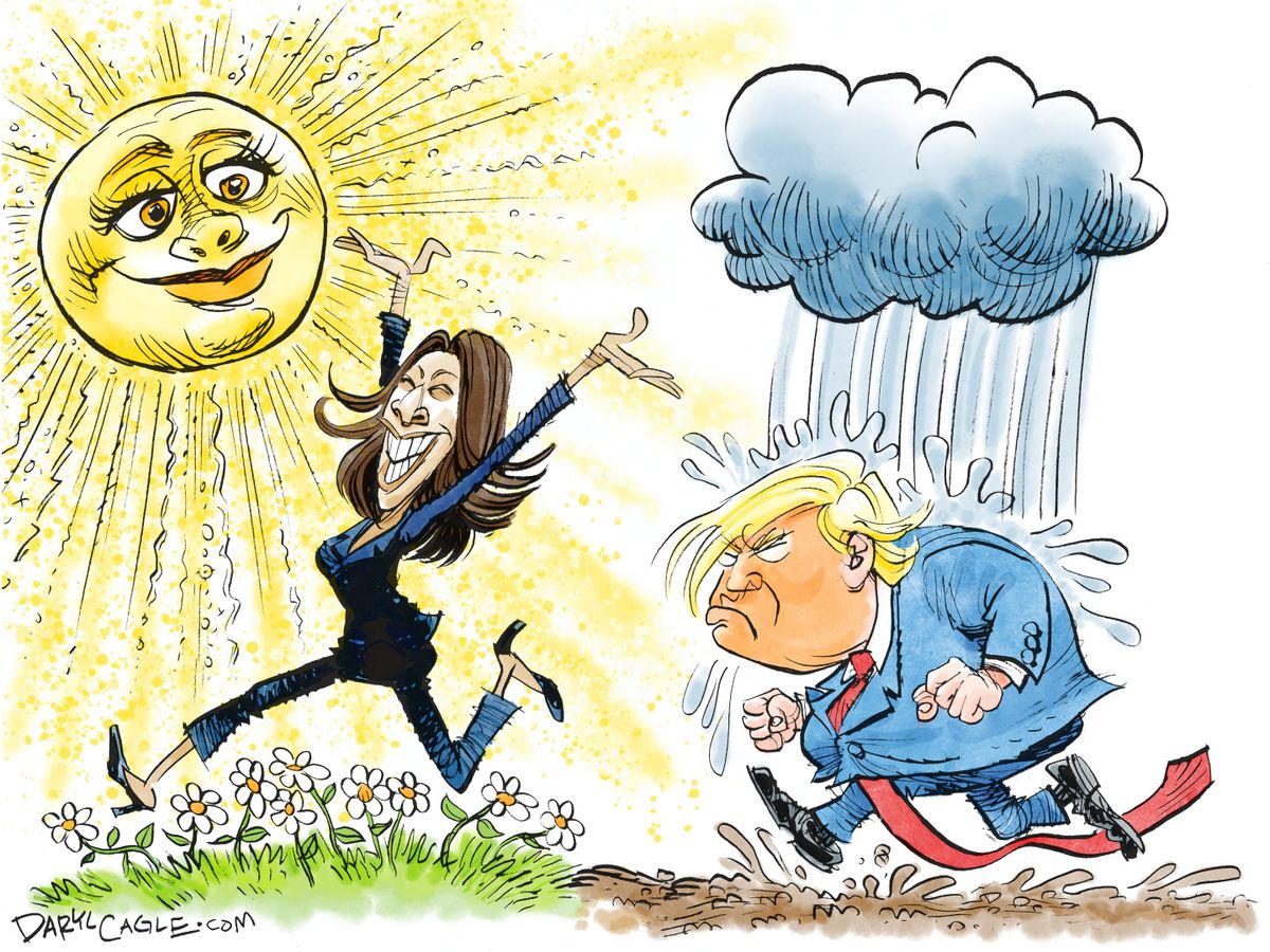 5 vibe-shifting cartoons about the DNC | The Week