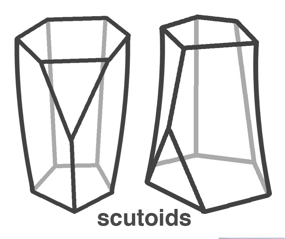 Geometry Has a New Shape. Meet the 'Scutoid.' | Live Science