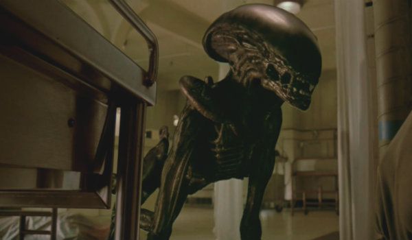 Every Way A Xenomorph Can Kill You In The Alien Movies | Cinemablend