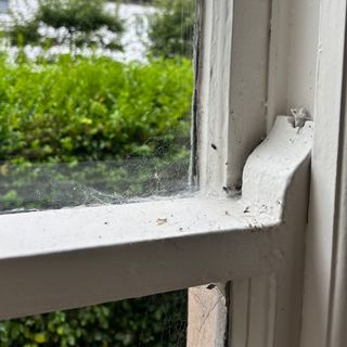 This WD-40 spider web trick actually worked on my windows | Ideal Home