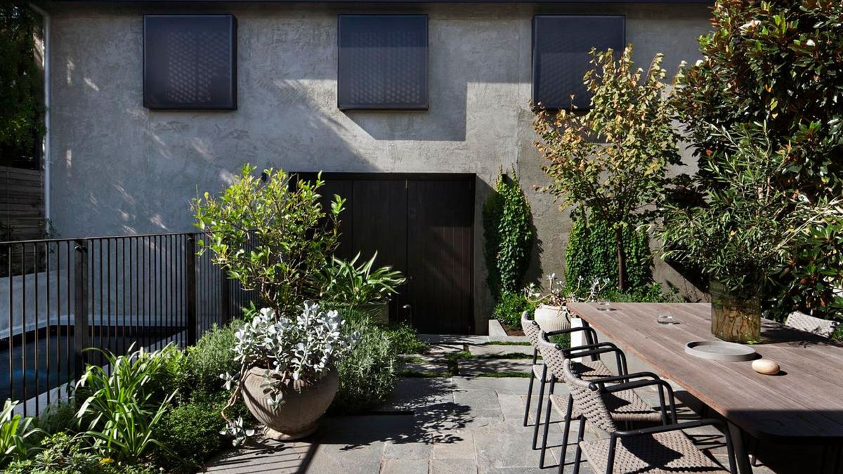 7 Unkillable Patio Plants for a Low-Maintenance Garden | Livingetc