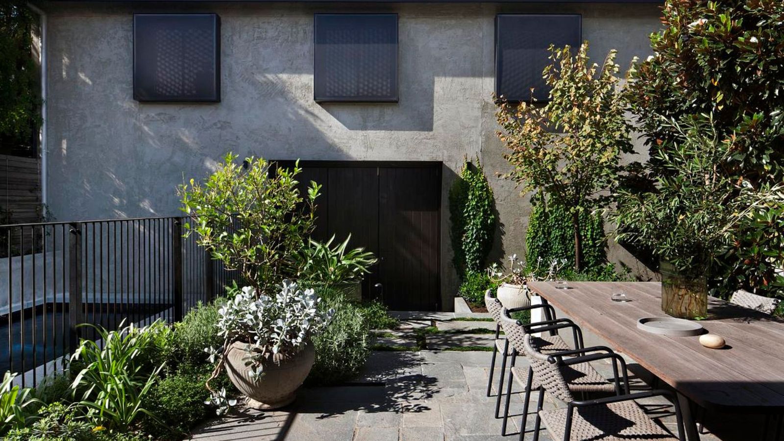 7 Unkillable Patio Plants for a Low-Maintenance Garden | Livingetc