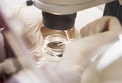 Lab-grown eggs provide unlimited fertility | Marie Claire UK