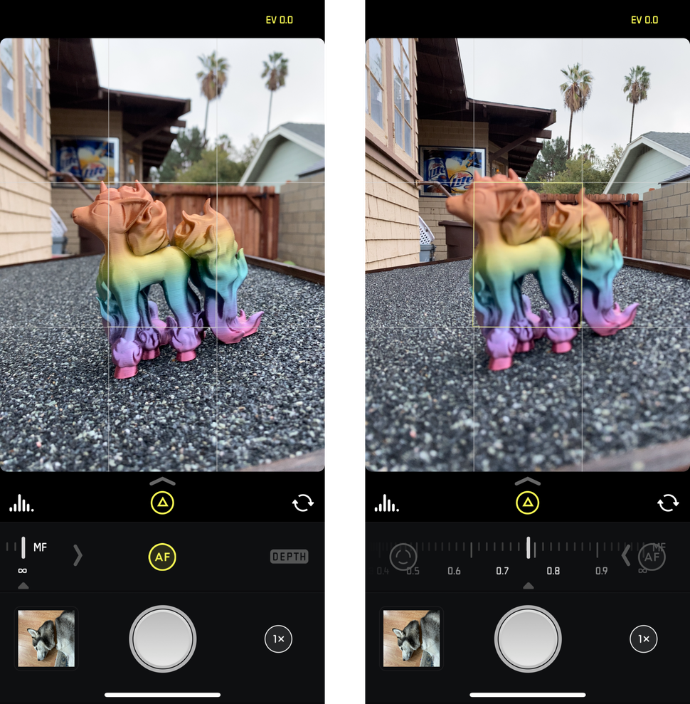 How to get the most sharp and focused photos: iPhone Photography Tips ...