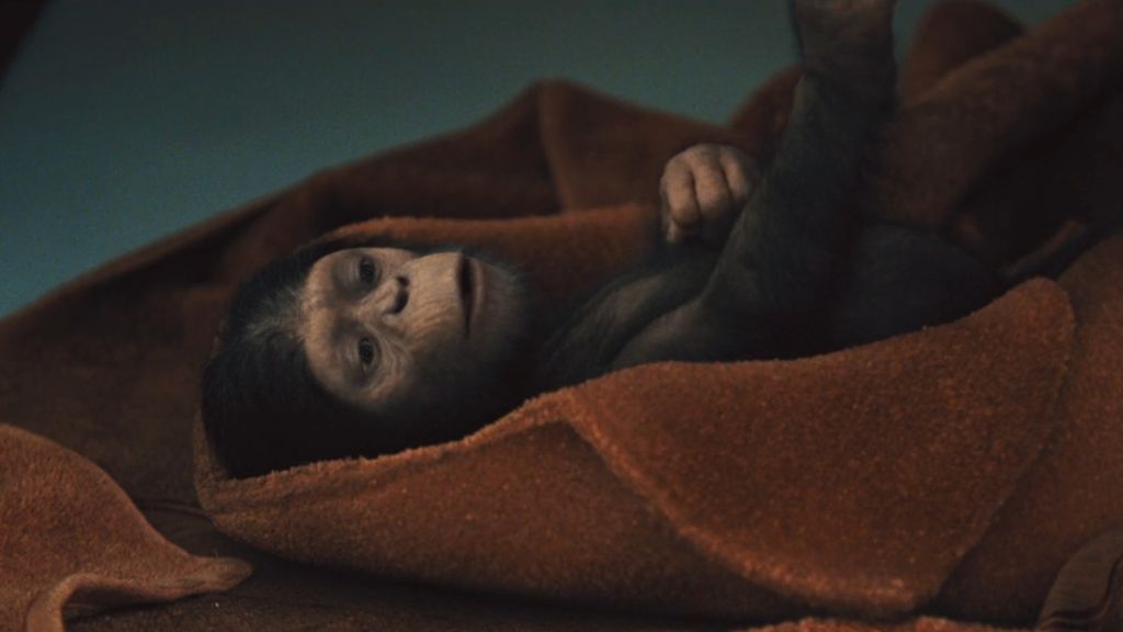 Caesar's Planet Of The Apes Timeline Explained | Cinemablend